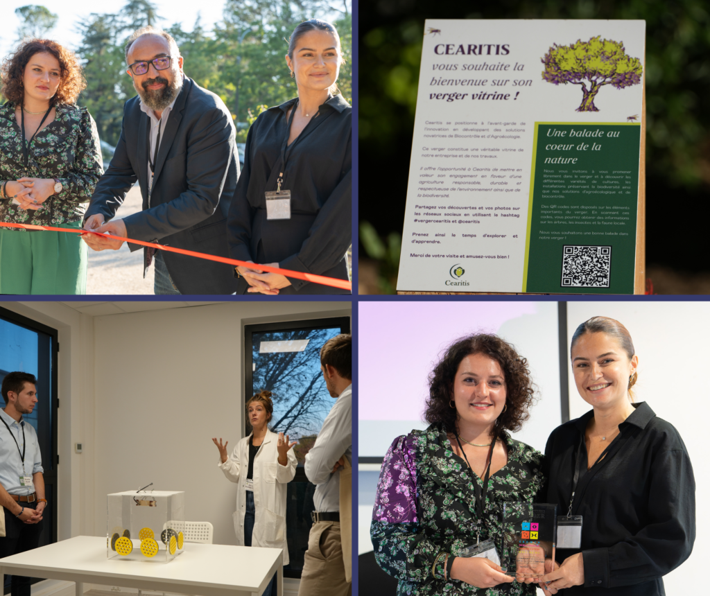 Cearitis : l'inauguration de son projet 2023 : le verger vitrine ...